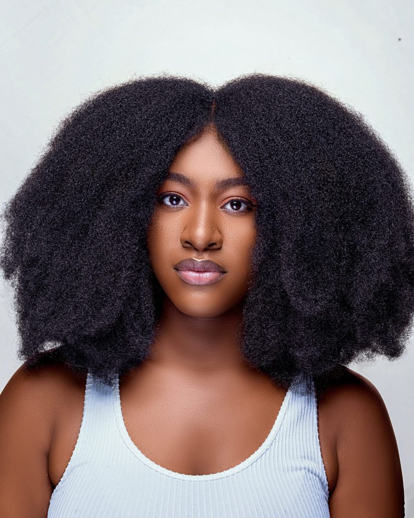 Afro Kinky Clip Ins 4C | All Things Savvy US | Premium Fiber