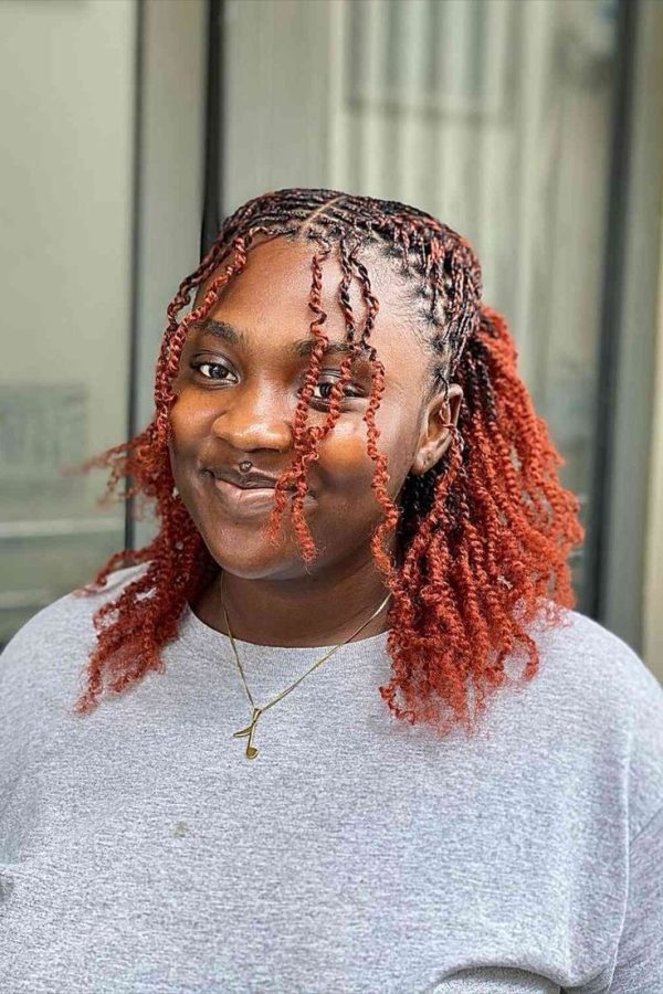 20 Top Micro & Mini Twists Hairstyles 2025 – Crochet Hair Trends USA