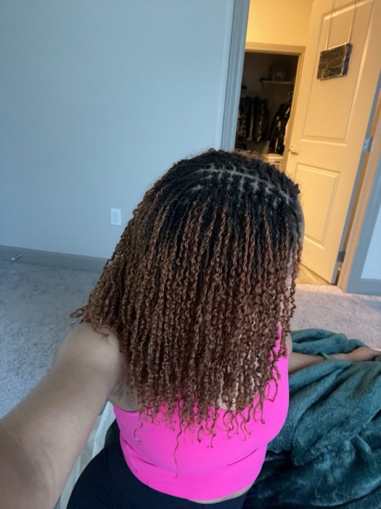 20 Top Micro & Mini Twists Hairstyles 2025 – Crochet Hair Trends USA