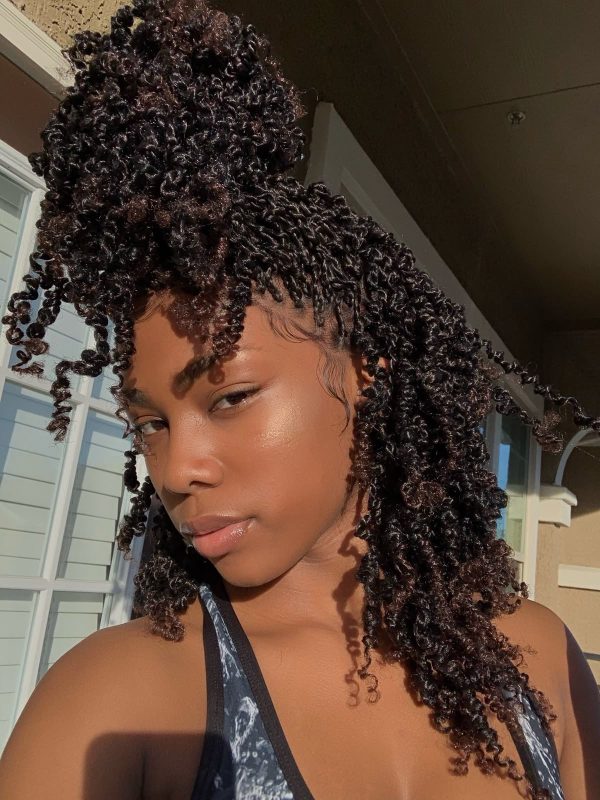 20 Top Micro & Mini Twists Hairstyles 2025 – Crochet Hair Trends USA